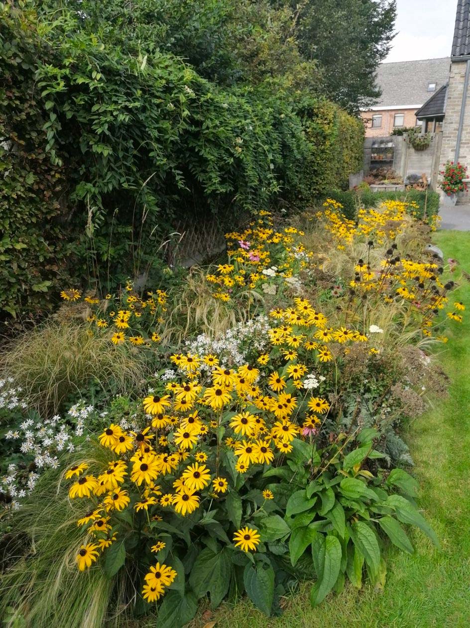 Planten in een kleine tuin - THESTYLEBOX